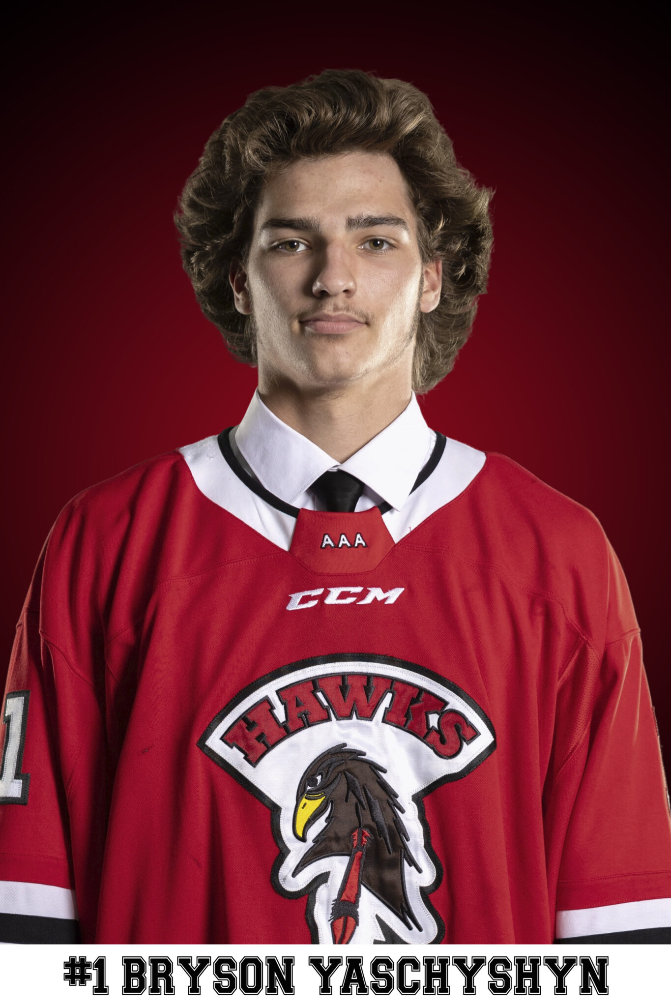 Pembina Valley Hawks