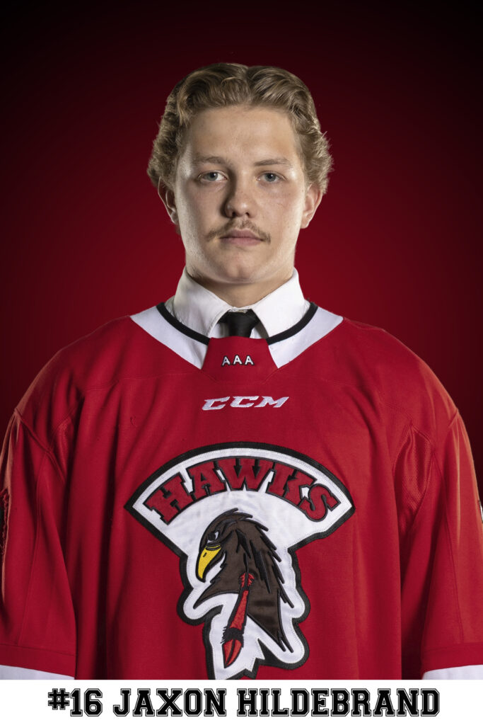 Pembina Valley Hawks