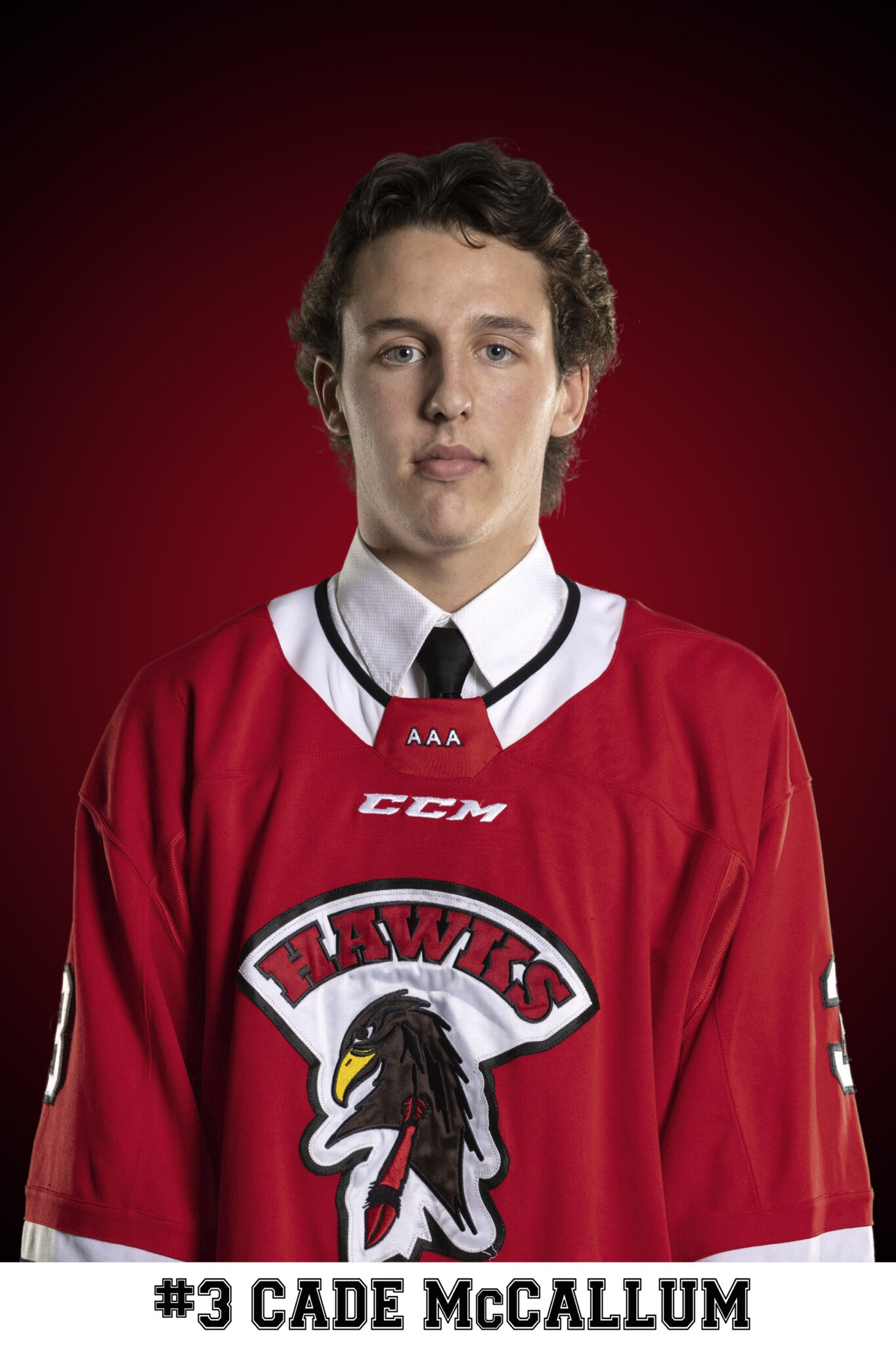 Pembina Valley Hawks