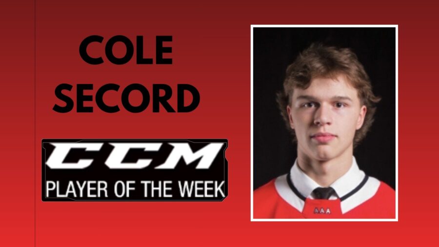 Pembina Valley Hawks